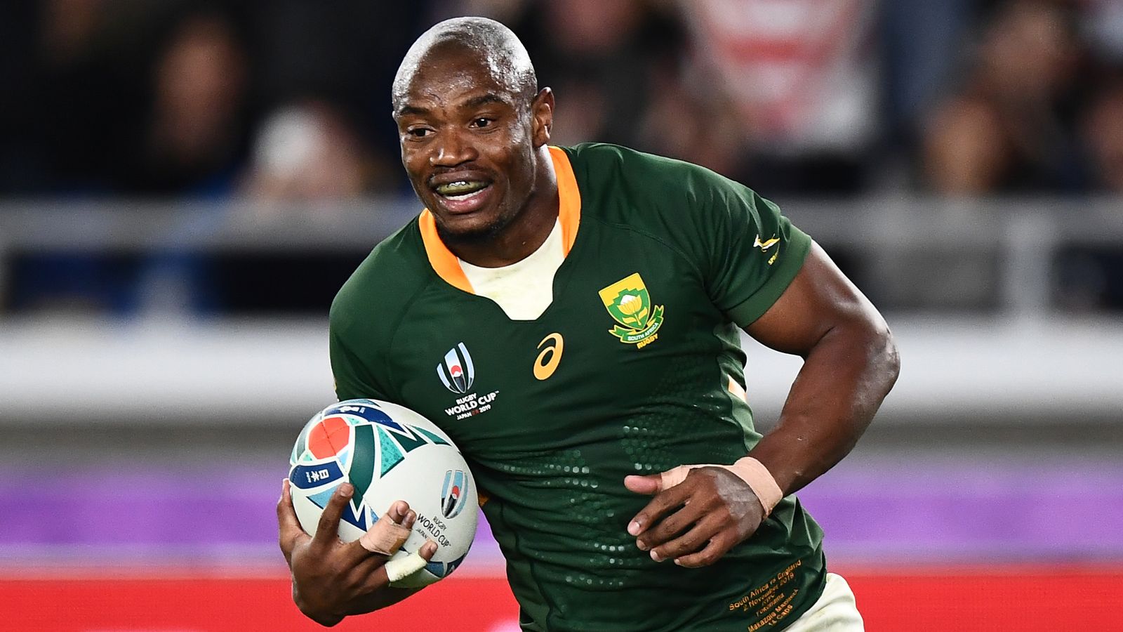 RWC final: South Africa player ratings after their World Cup final win ...