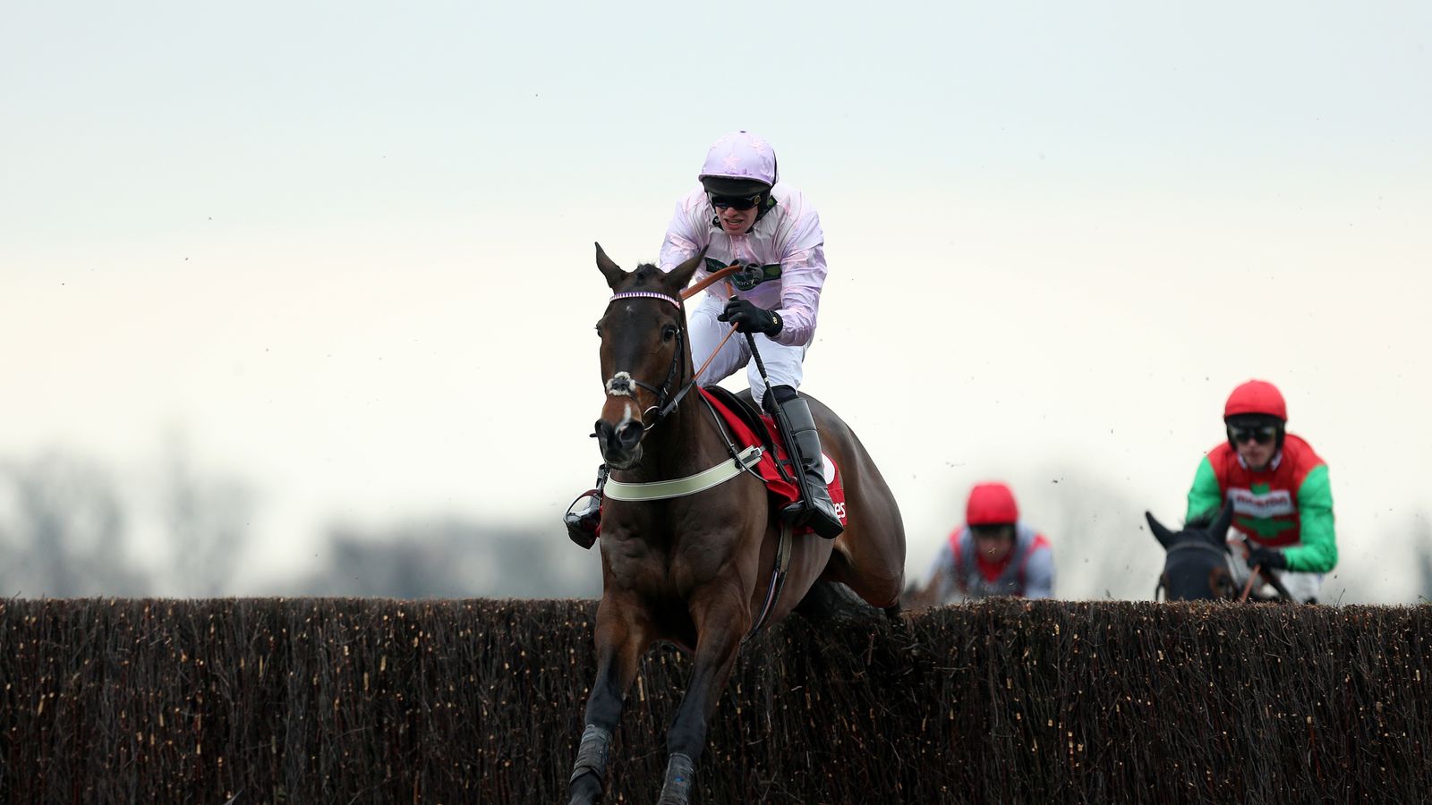 Trainer Ben Pauling looks to next season | Racing News | Sky Sports