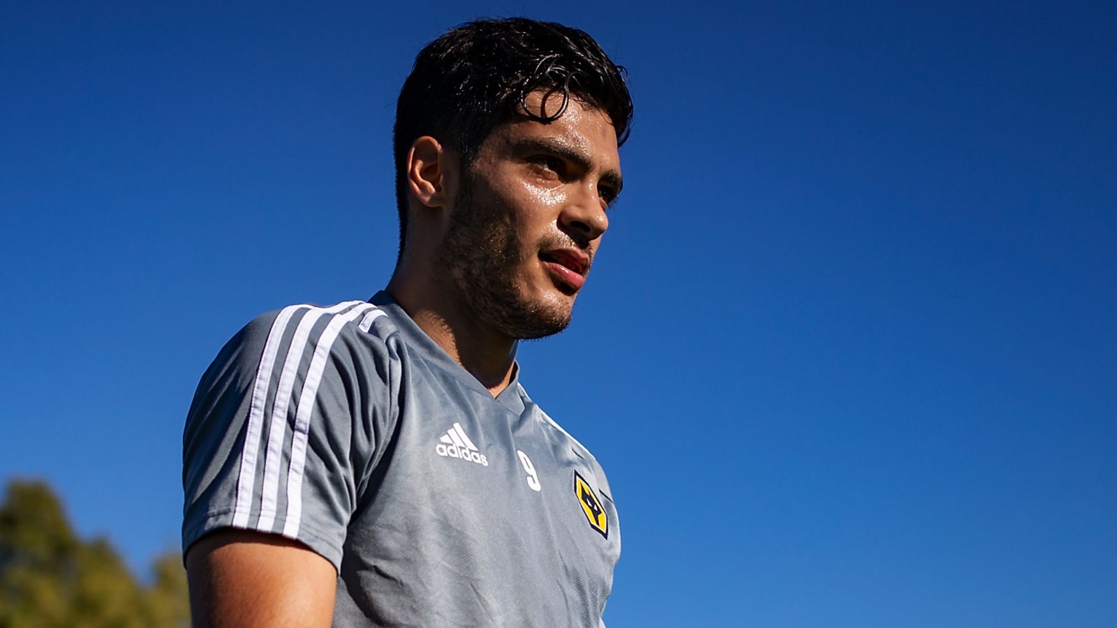 Wolves players to return to training ground May 11 | Football News ...