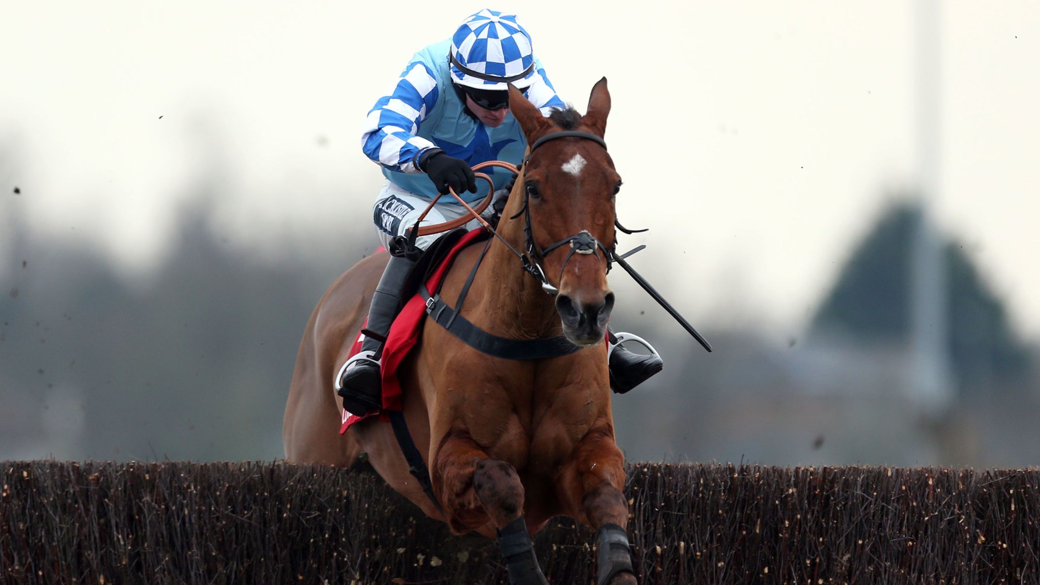 Cheltenham Festival: Bun Doran will not take up Grand Annual engagement ...