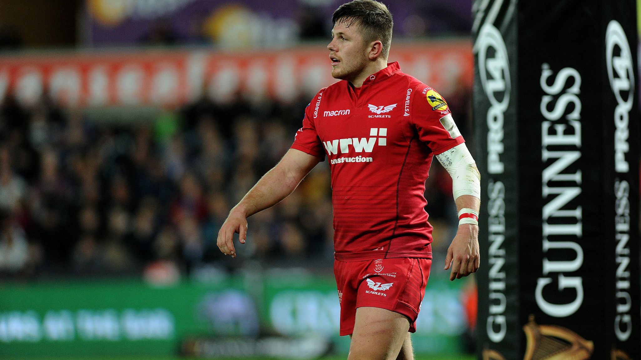 PRO14: Wins for Cardiff and Scarlets | Rugby Union News | Sky Sports