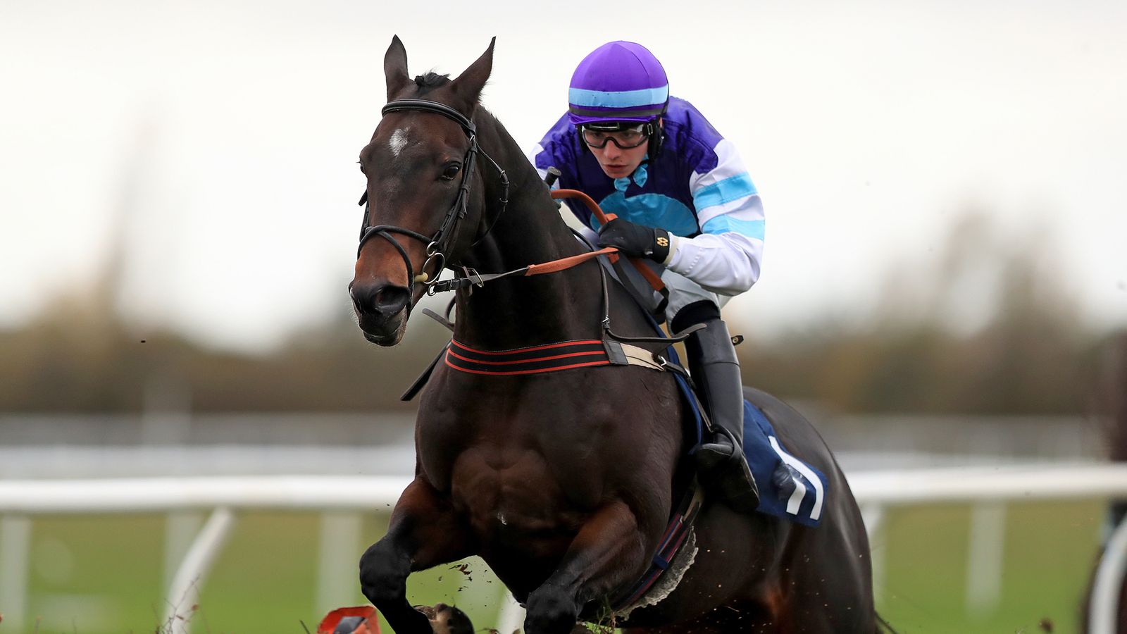 Lavelle looks to Betfair Hurdle with Highly Prized | Racing News | Sky ...