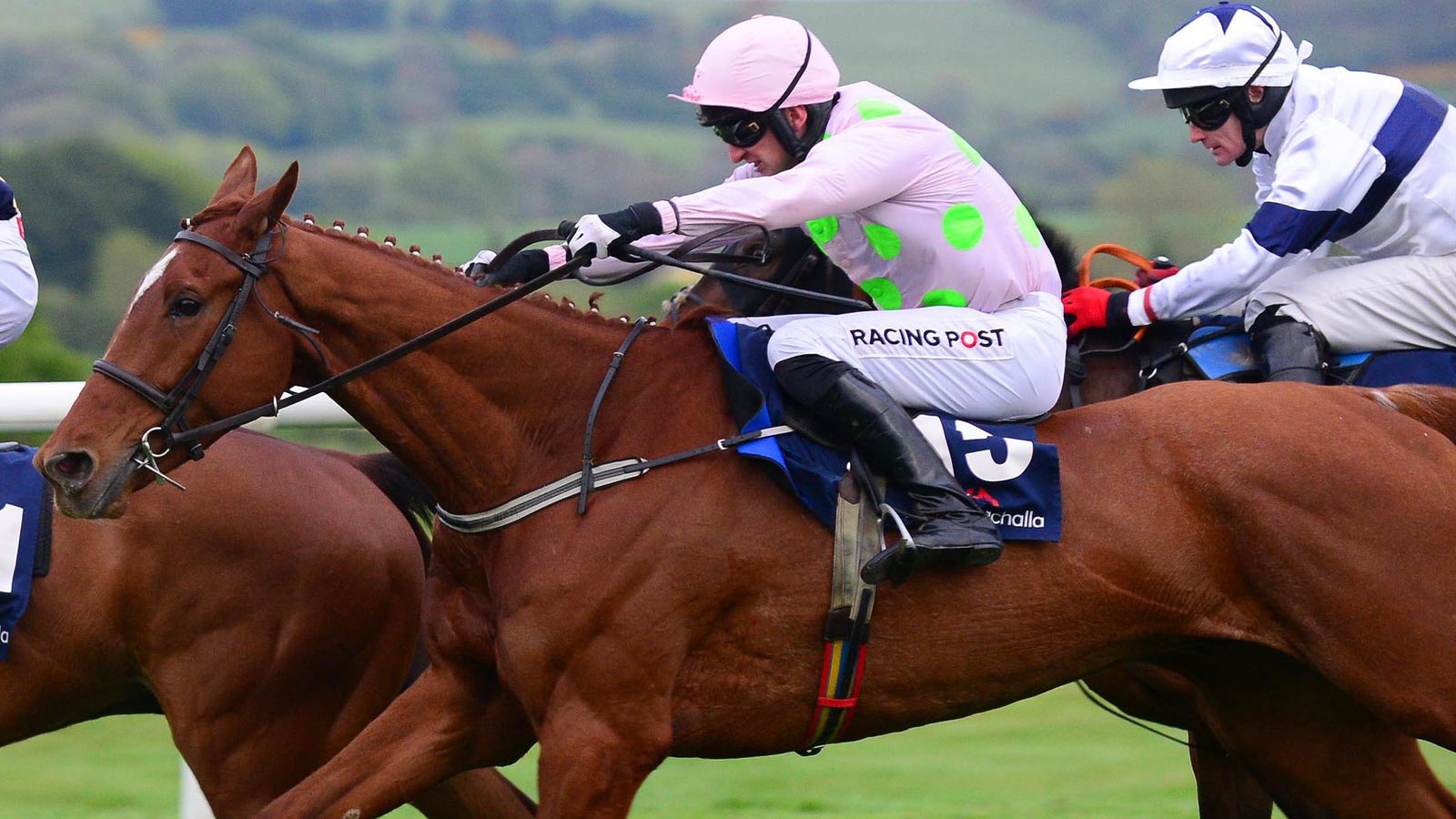 Monkfish just too strong for Latest Exhibition again | Racing News ...