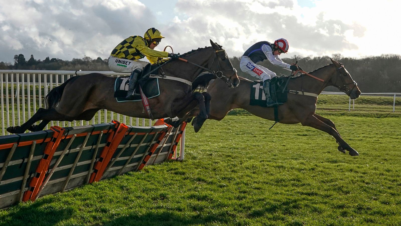All eyes on Shishkin in Sidney Banks | Racing News | Sky Sports
