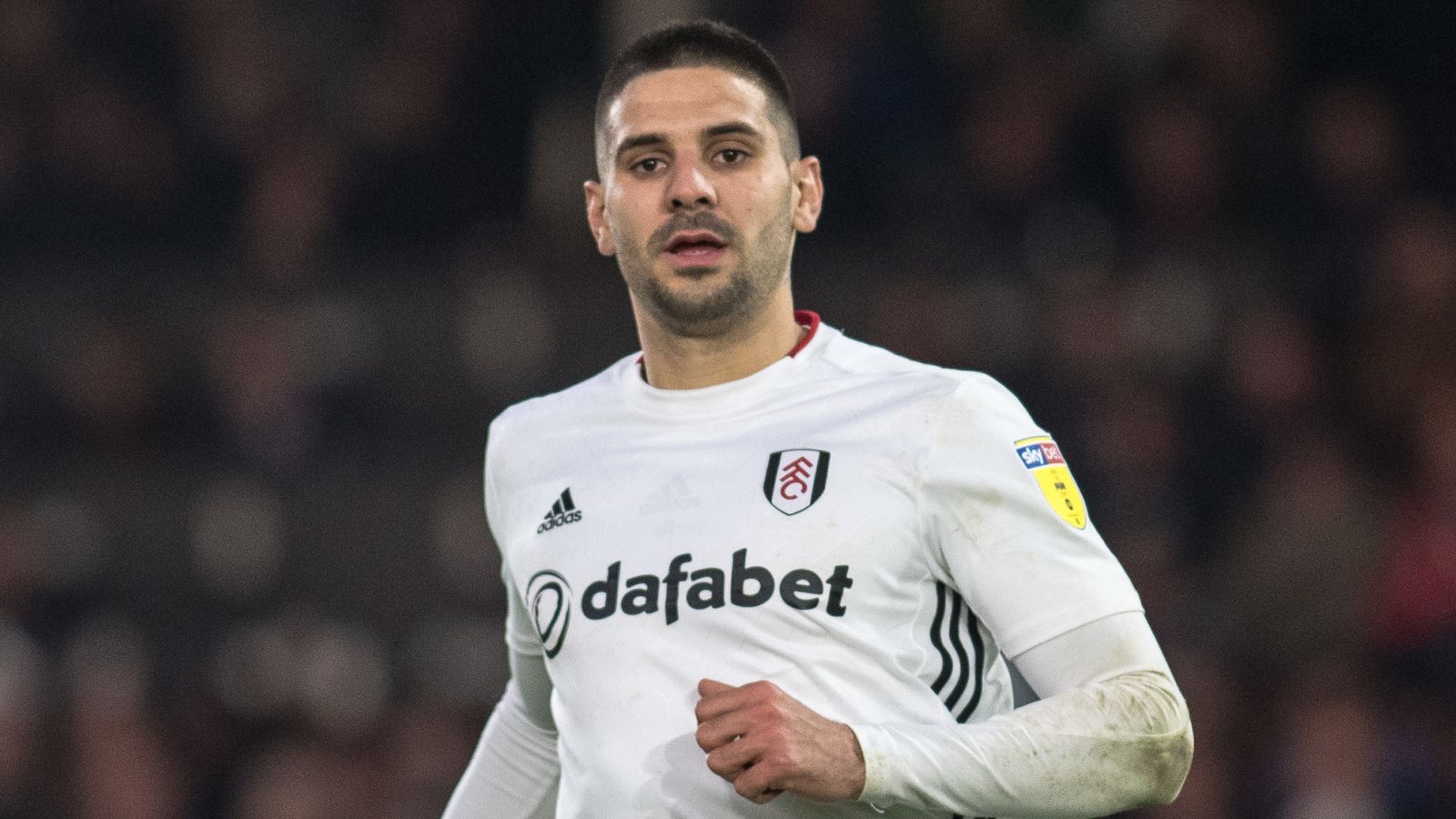 Fulham's Aleksandar Mitrovic suffers ligament injury | Football News ...