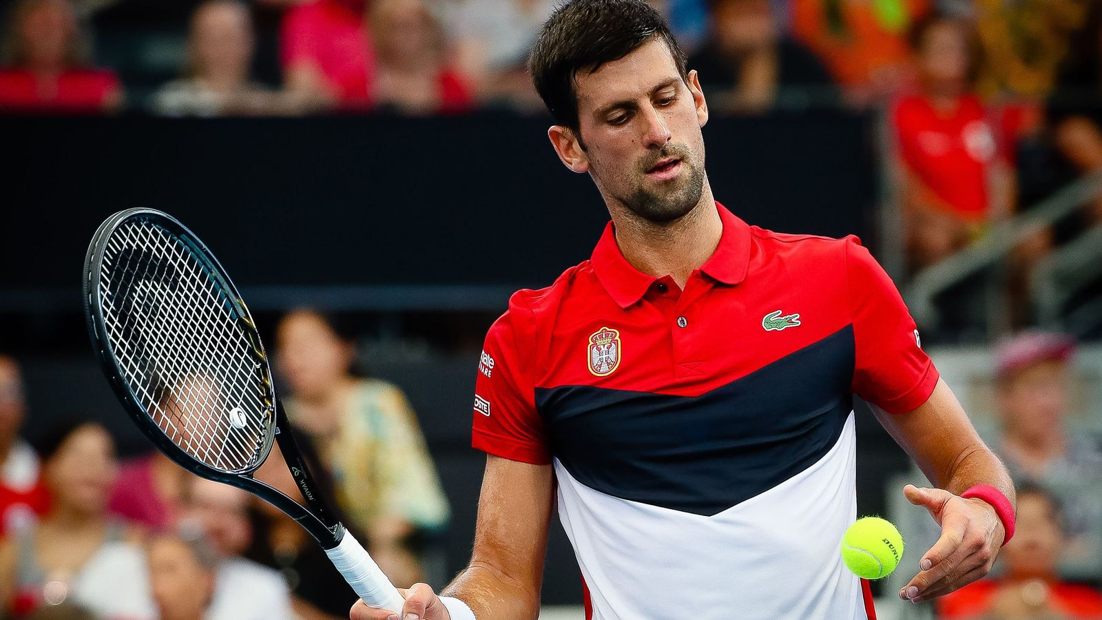 Novak Djokovic helps Serbia reach ATP Cup quarter-finals | Tennis News ...