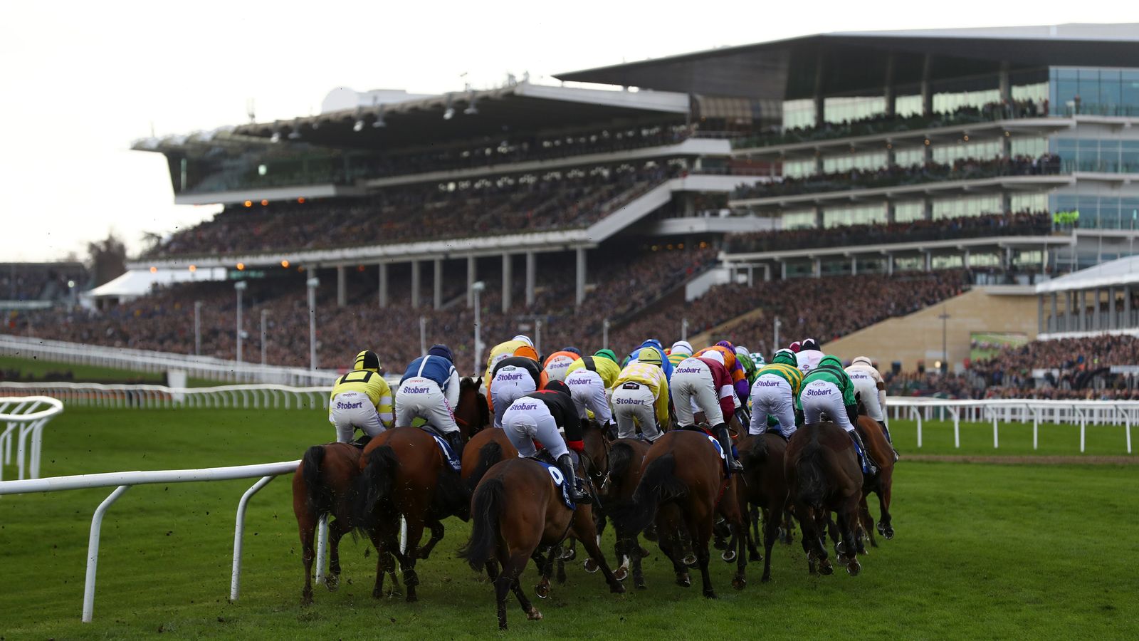 Health advice for Cheltenham racegoers | Racing News | Sky Sports