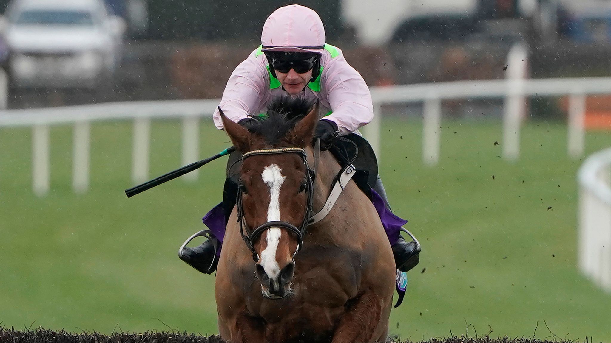 Cheltenham Festival day three tips: Faugheen can bring the house down ...