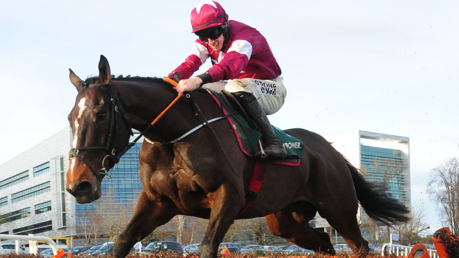 Gordon Elliott has Supreme hope for Abacadabras | Racing News | Sky Sports