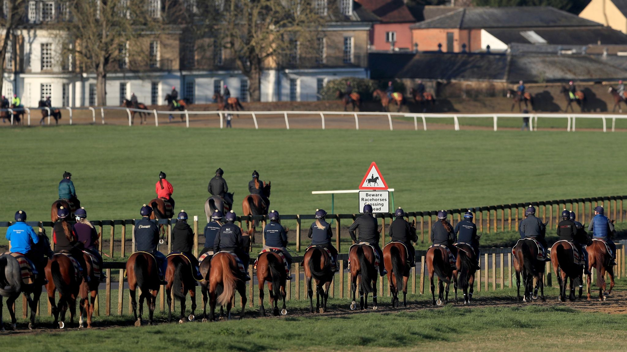 Trainers told to continue with gallops | Racing News | Sky Sports
