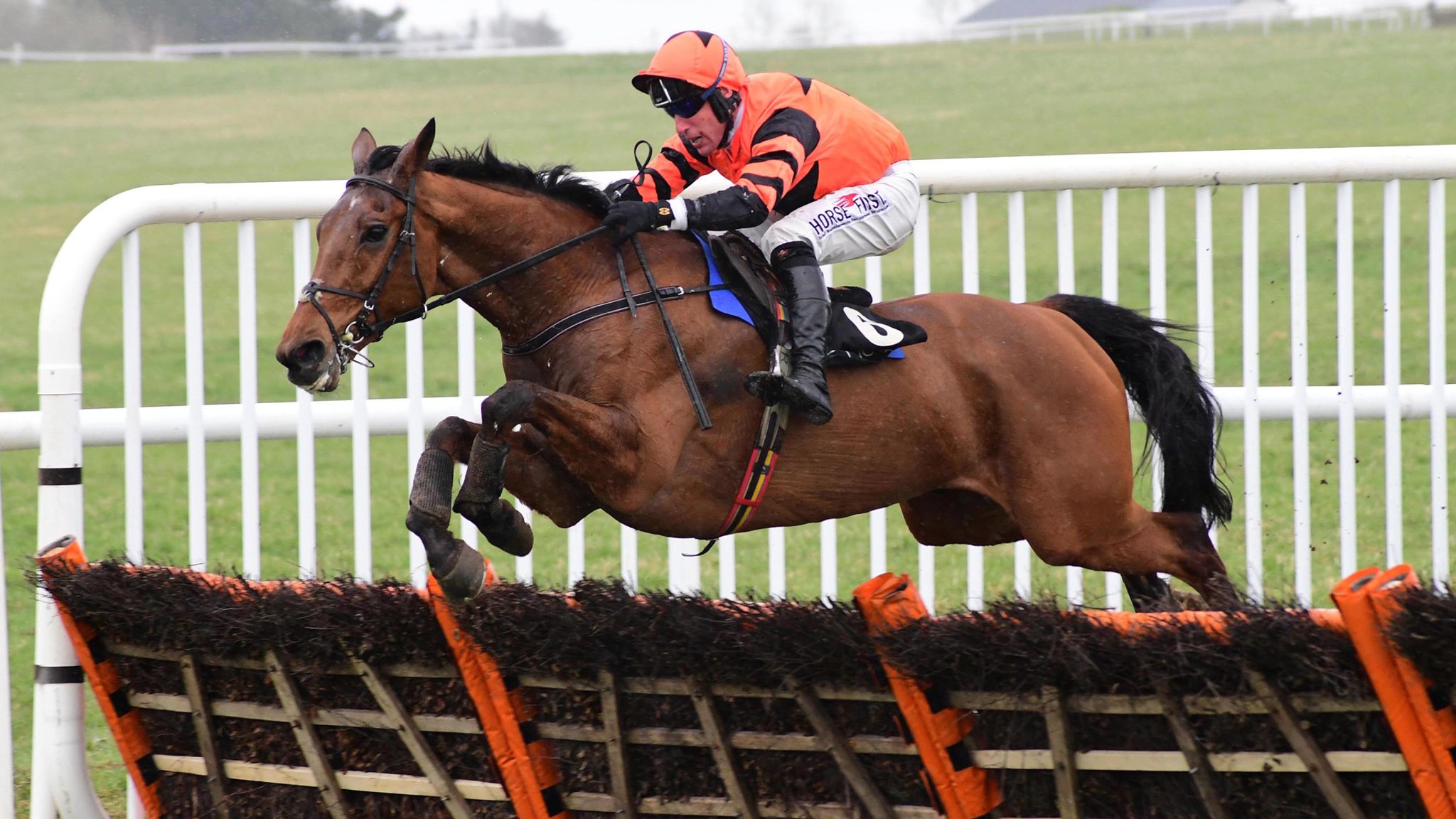 Jetz powers to victory in Thurles feature | Racing News | Sky Sports