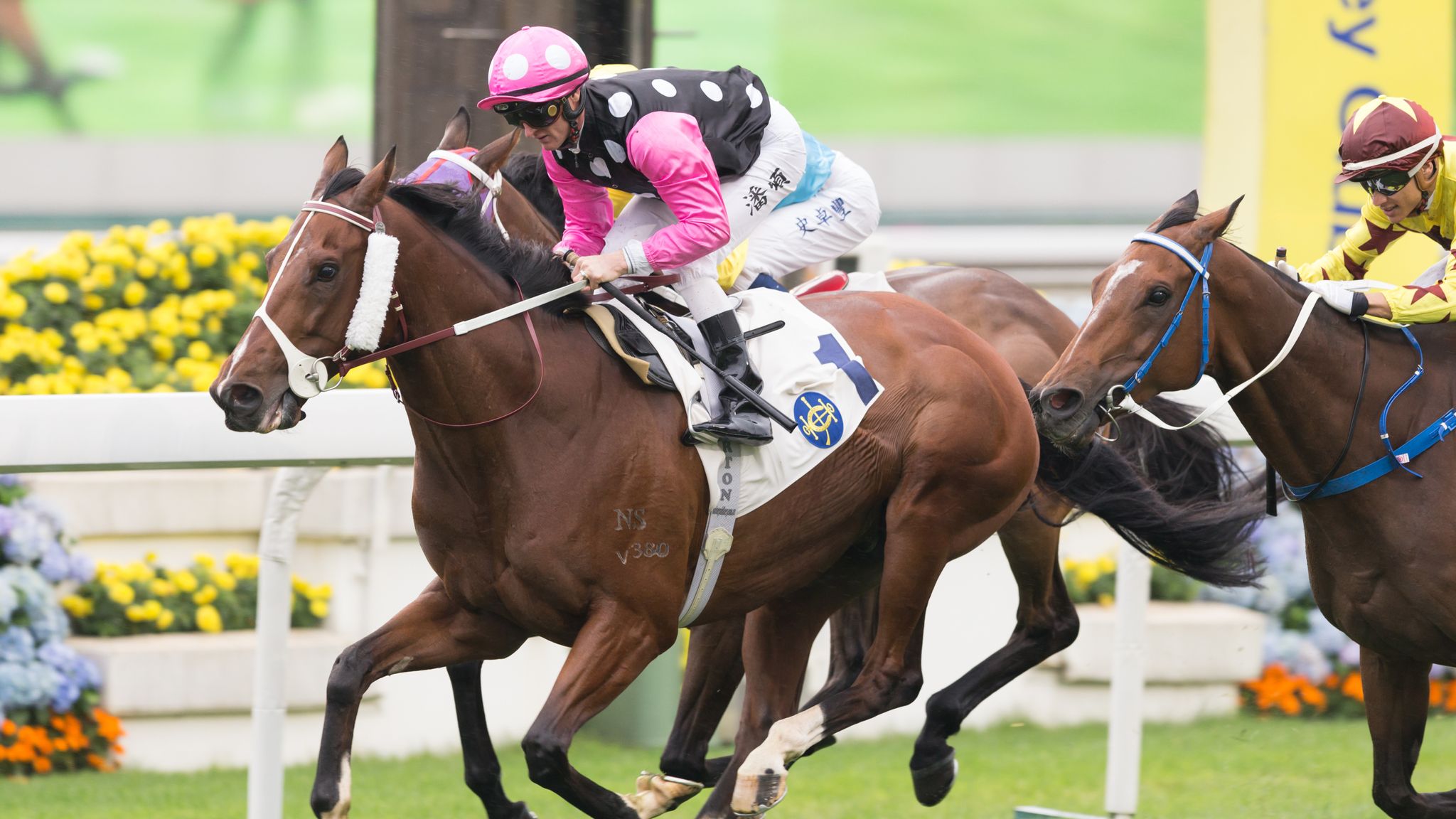 Sha Tin Sunday Tips and preview | Racing News | Sky Sports