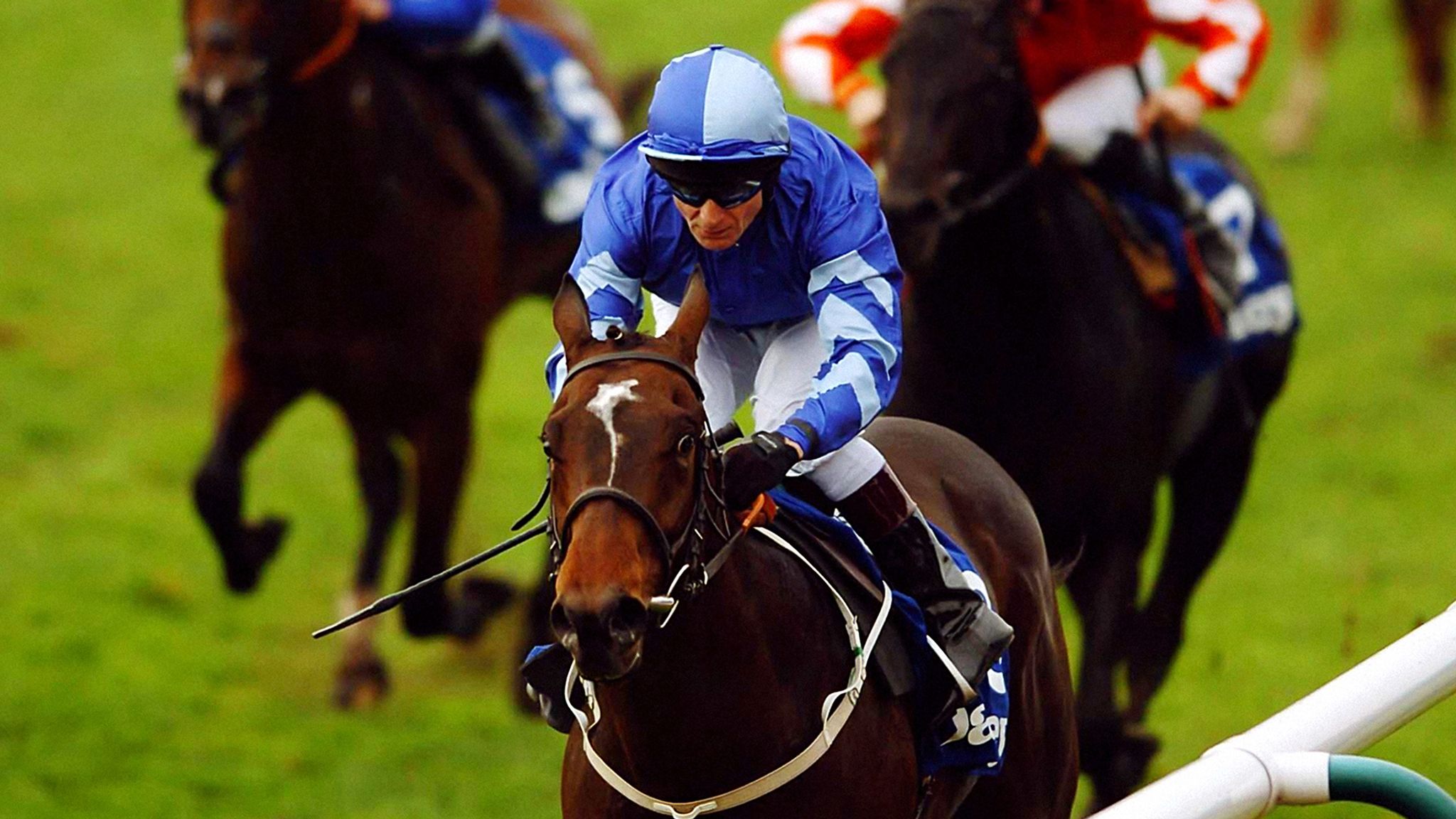 Kevin Darley remembers Dewhurst victory on Shamardal | Racing News ...