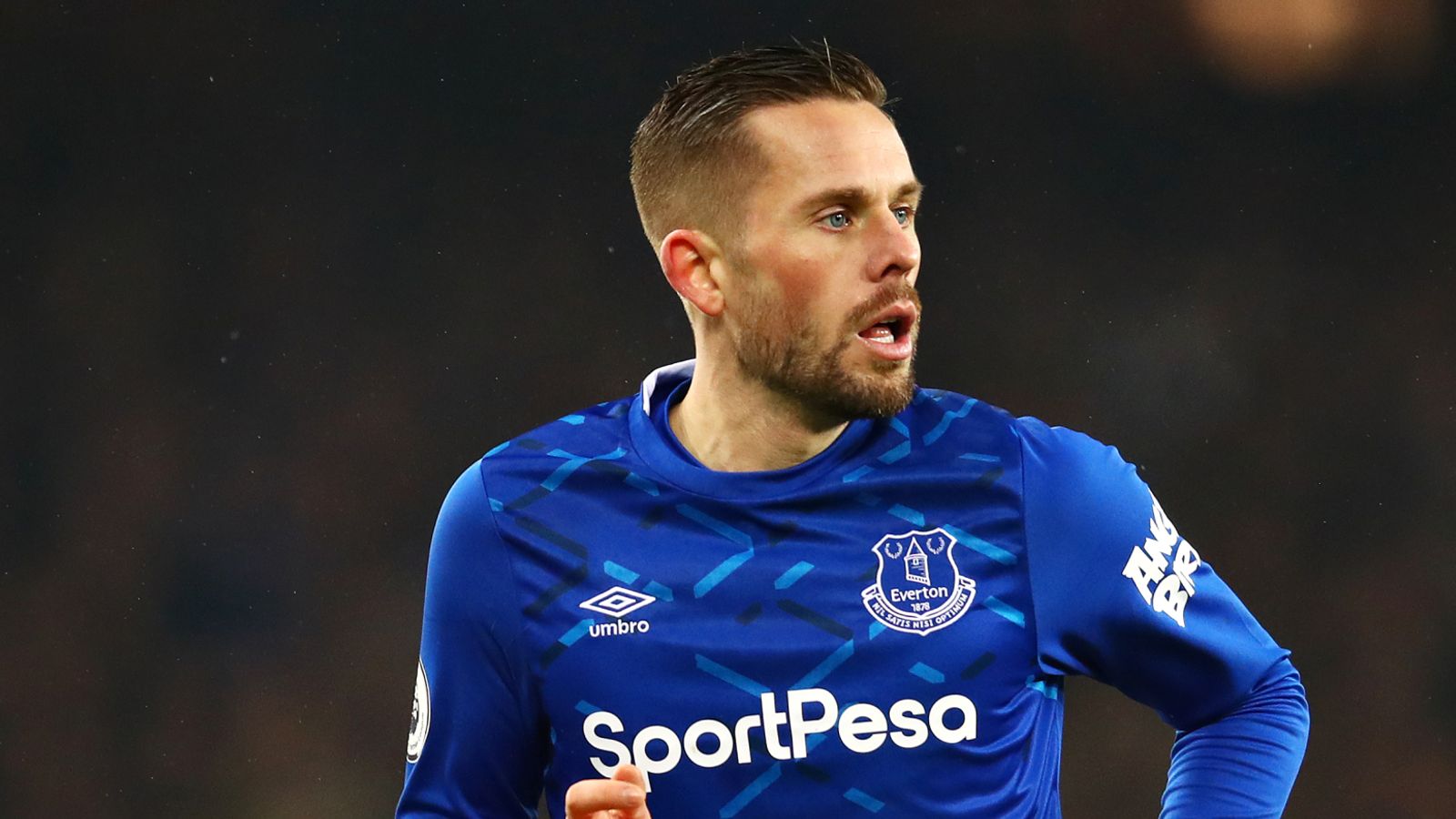 Gylfi Sigurdsson: Everton's Icelandic midfielder targets strong season ...