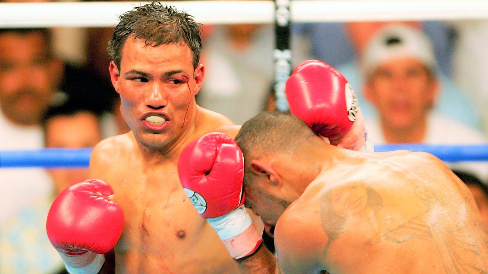 Diego Corrales and Jose Luis Castillo's epic clash is remembered by ...