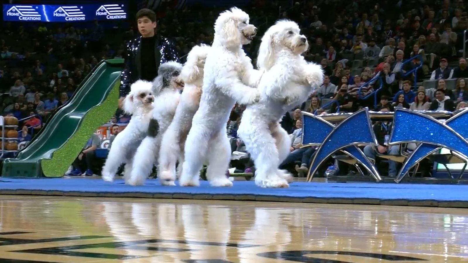 Best of 2019-20: Half-time shows | NBA News | Sky Sports