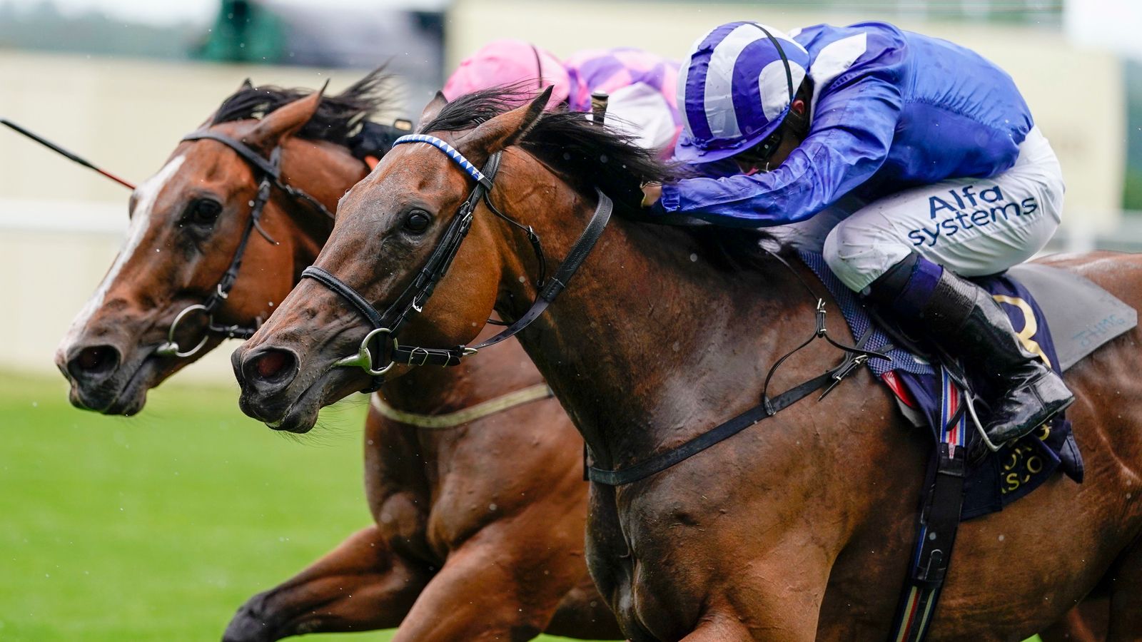 Nazeef targeting Group One graduation at Newmarket | Racing News | Sky ...