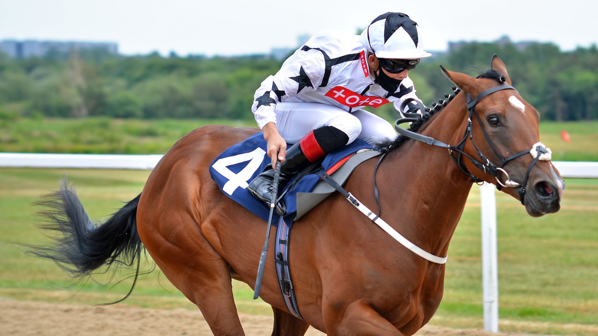Ben Curtis free to resume riding on Saturday | Racing News | Sky Sports
