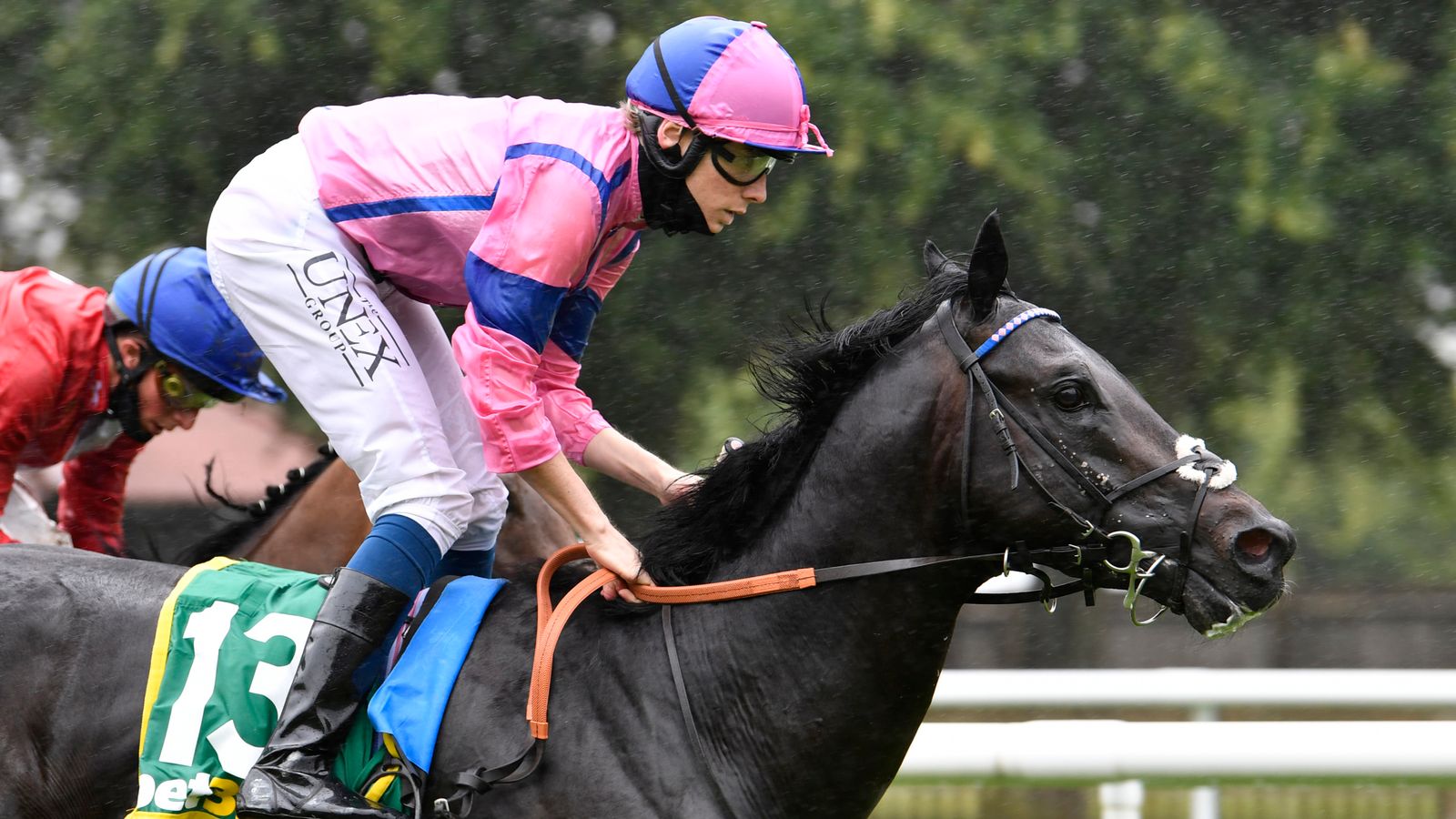 Shepherd's Delight | Racing News | Sky Sports