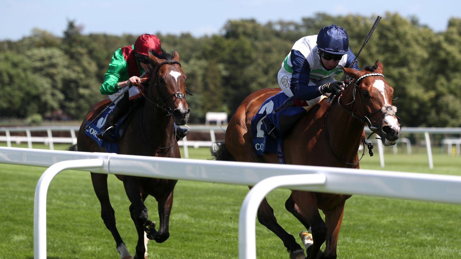 Melbourne Cup aim for Dashing Willoughby | Racing News | Sky Sports