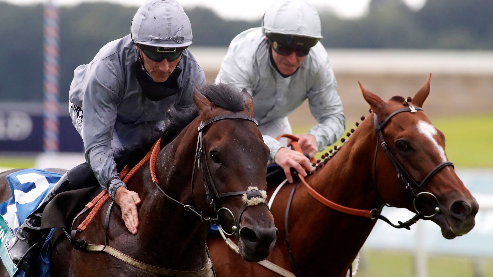 Eagles By Day tops great weekend for owner Steve Parkin | Racing News ...