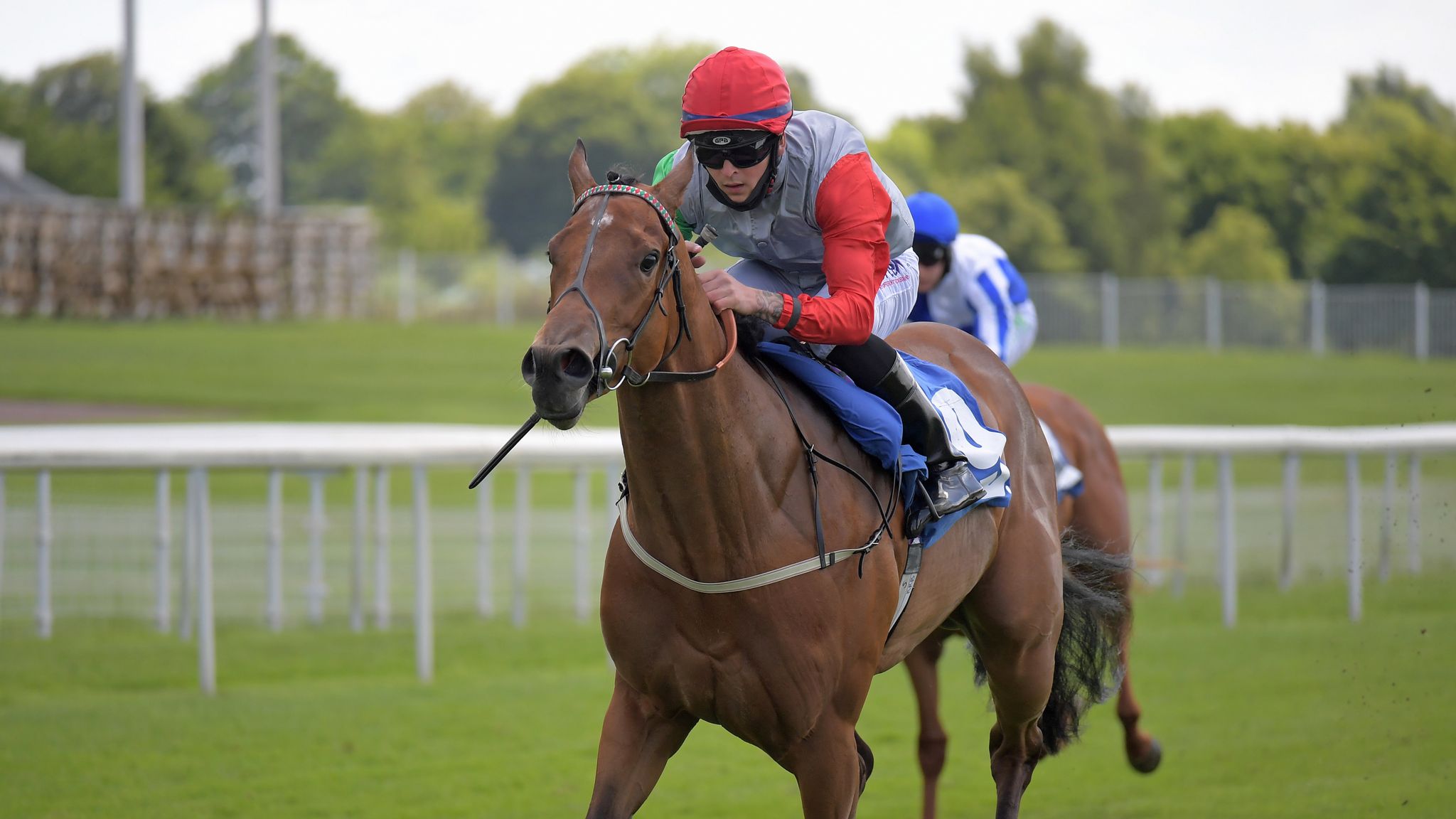 Spright makes big impression with York success | Racing News | Sky Sports
