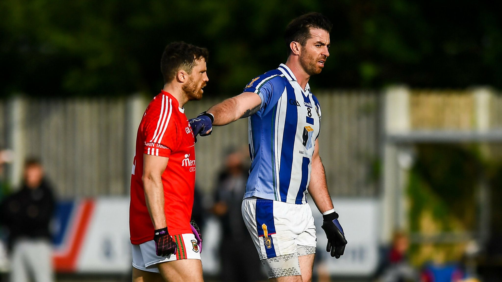 Club football round-up: Castlehaven among Clontibret the winners ...
