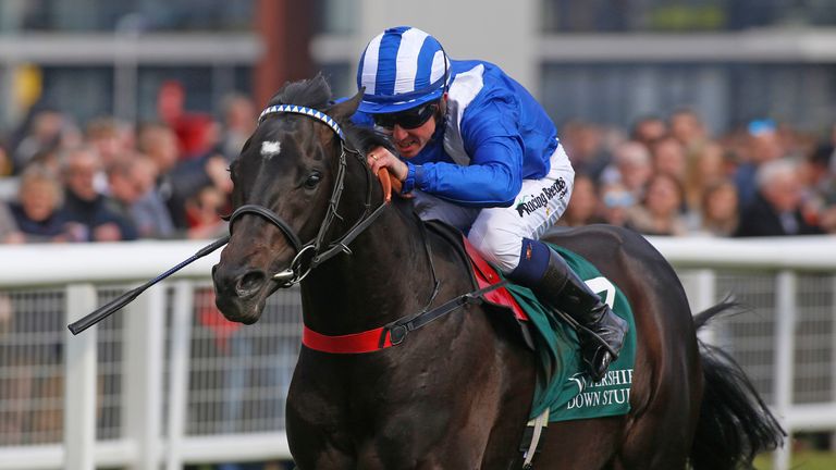 Mohaather bids to bounce back in Summer Mile | Racing News | Sky Sports