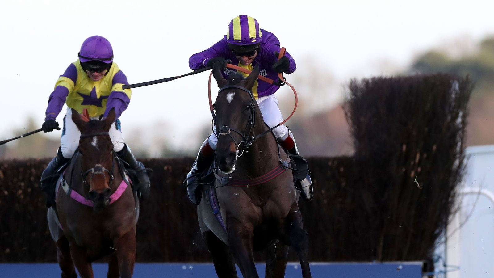 New syndicate puts faith in Kayf Adventure | Racing News | Sky Sports