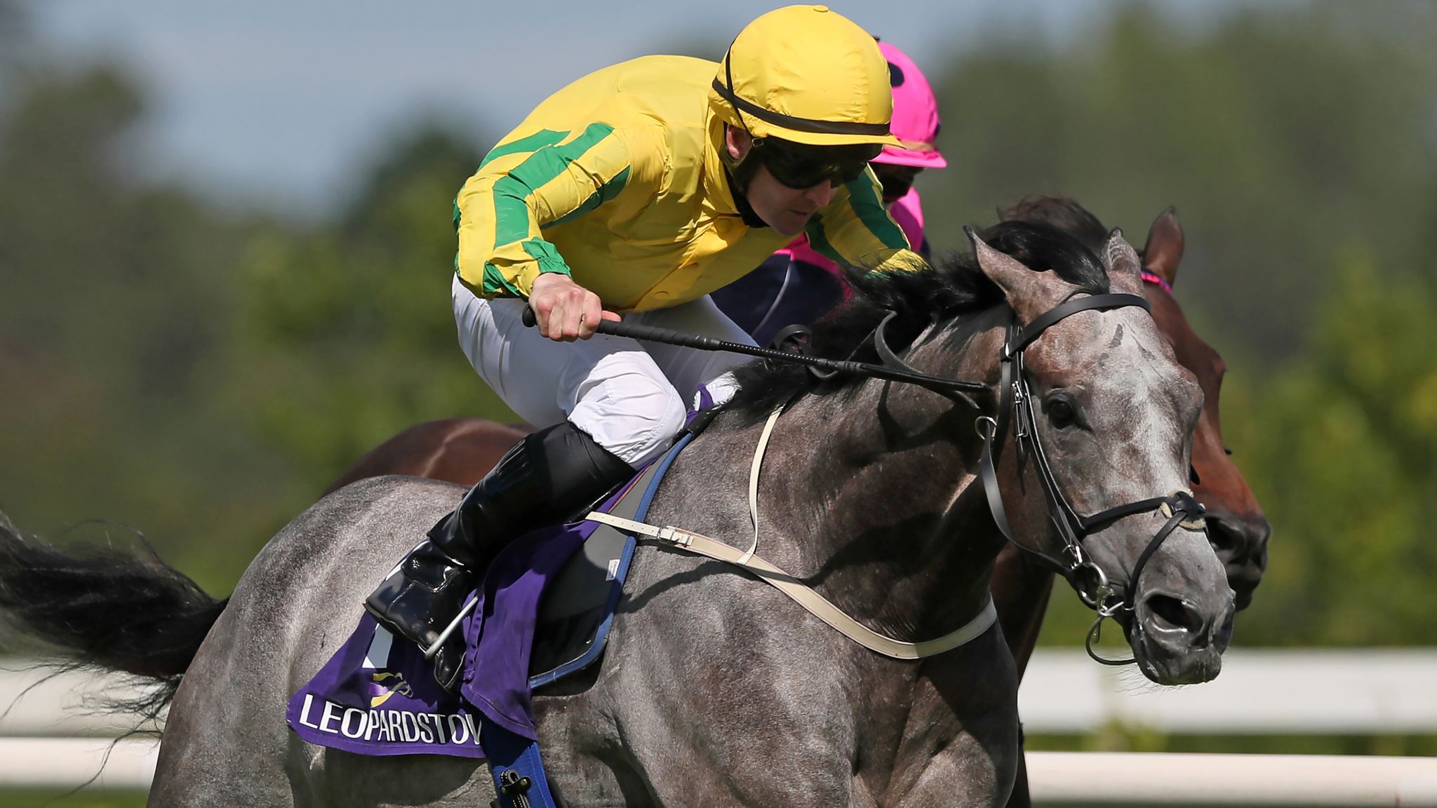 Nickajack Cave sold to continue career in Australia | Racing News | Sky ...