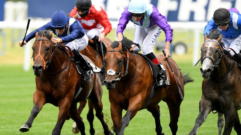 Gimcrack option for Mohawk King at York | Racing News | Sky Sports