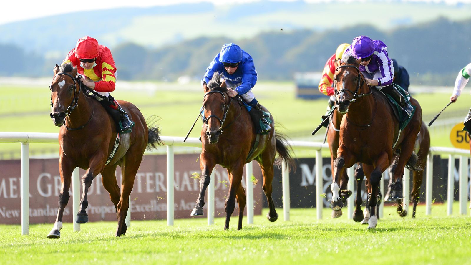 Thunder Moon leads all-star cast for Dewhurst | Racing News | Sky Sports