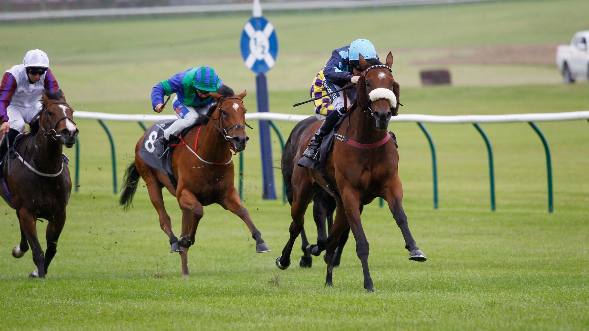 Que Amoro back in frame for Flying Five | Racing News | Sky Sports