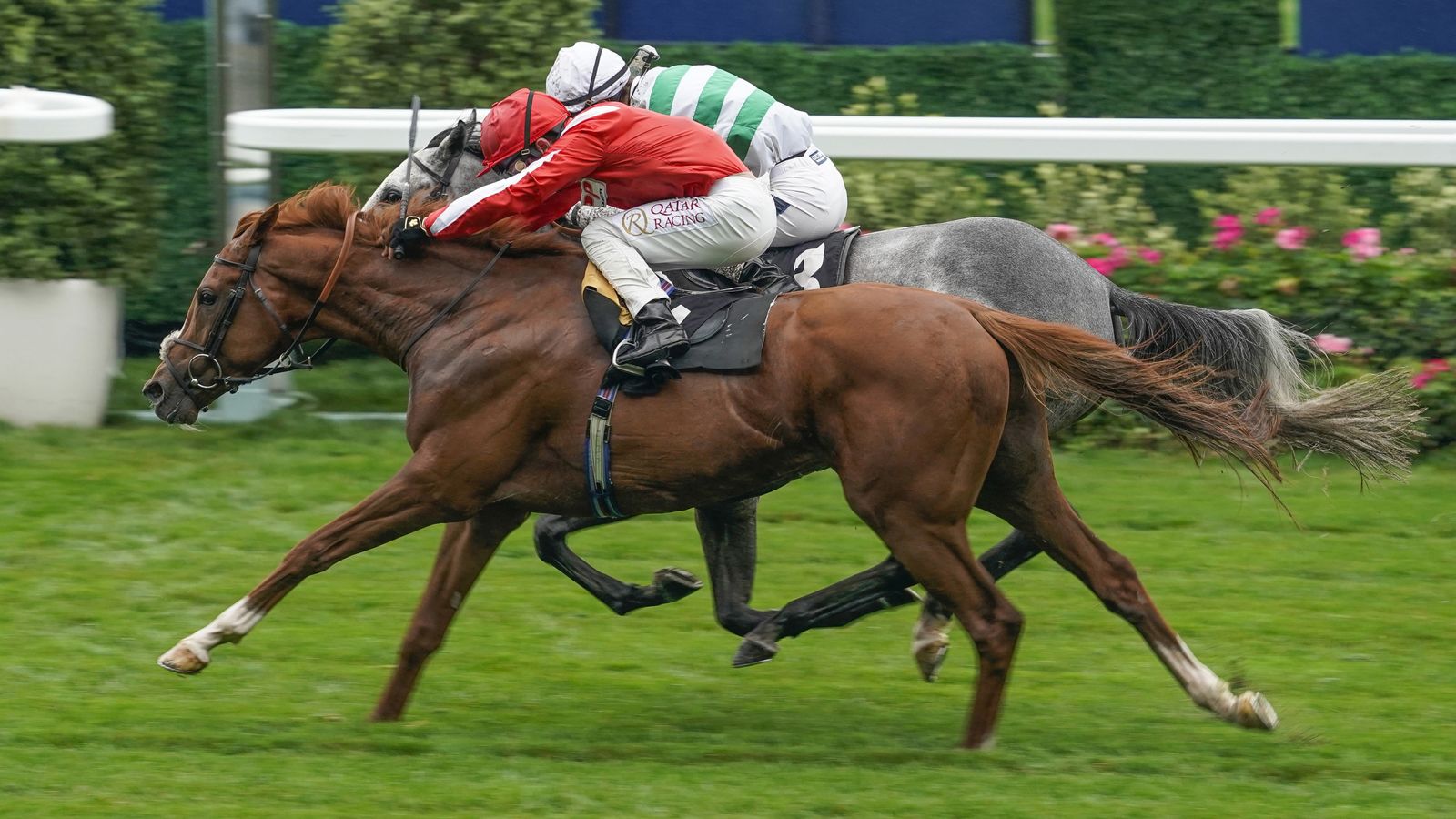 Oisin Murphy on target at Ascot aboard Berkshire Rocco | Racing News ...