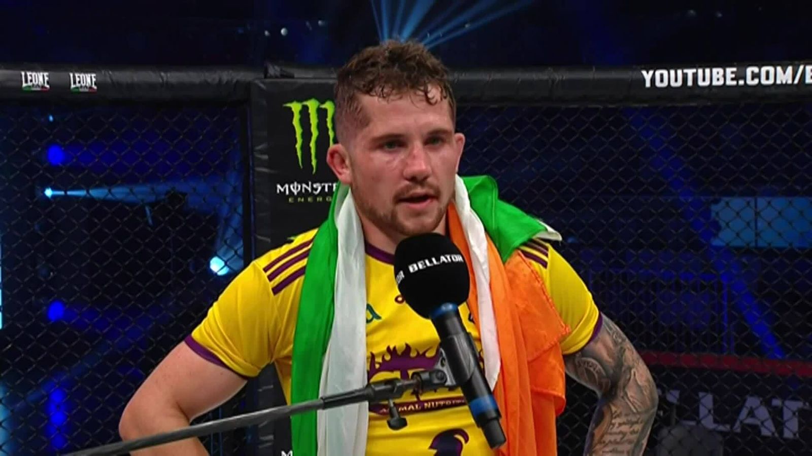 Bellator 247: Denise Kielholtz knocks out Kate Jackson while Brian ...