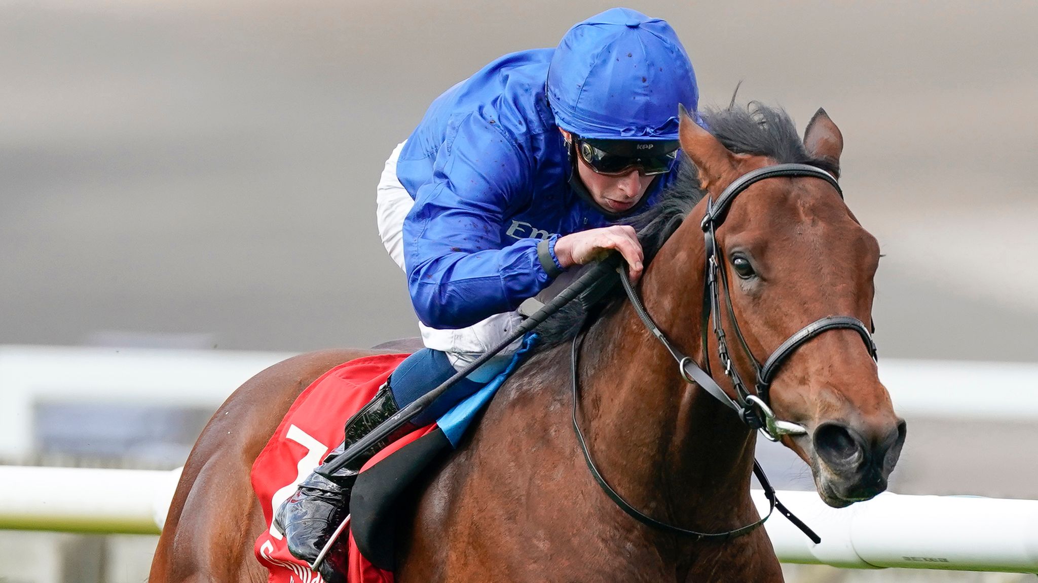 One Ruler out to shine in Vertem Futurity at Doncaster | Racing News ...