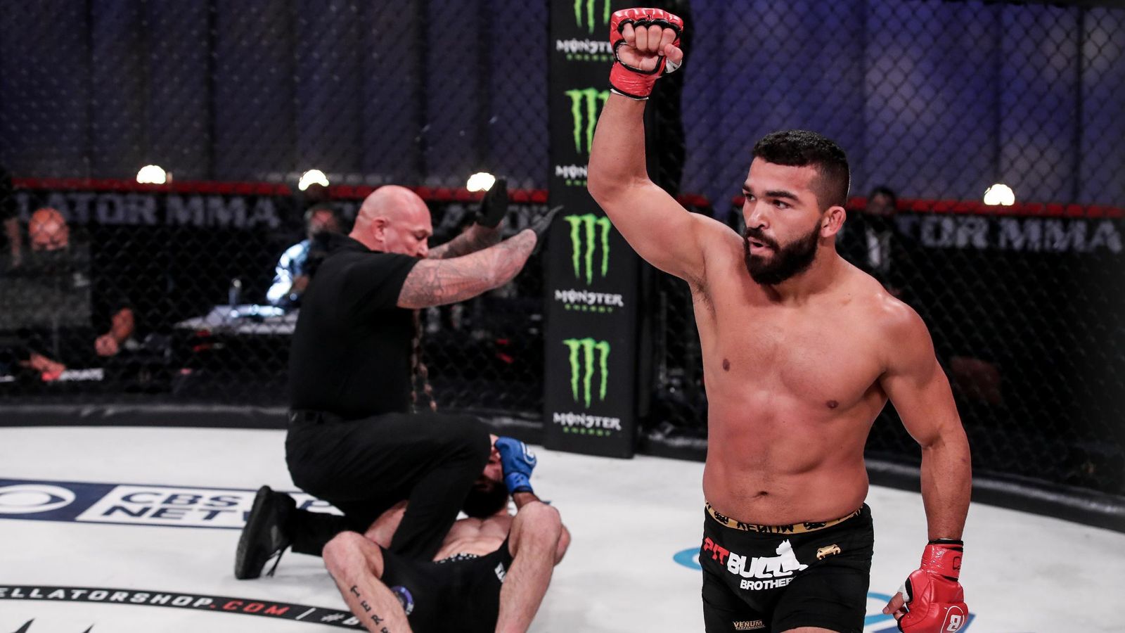 Bellator 252: Patricio 'Pitbull' Freire knocks out Pedro Carvalho | WWE ...