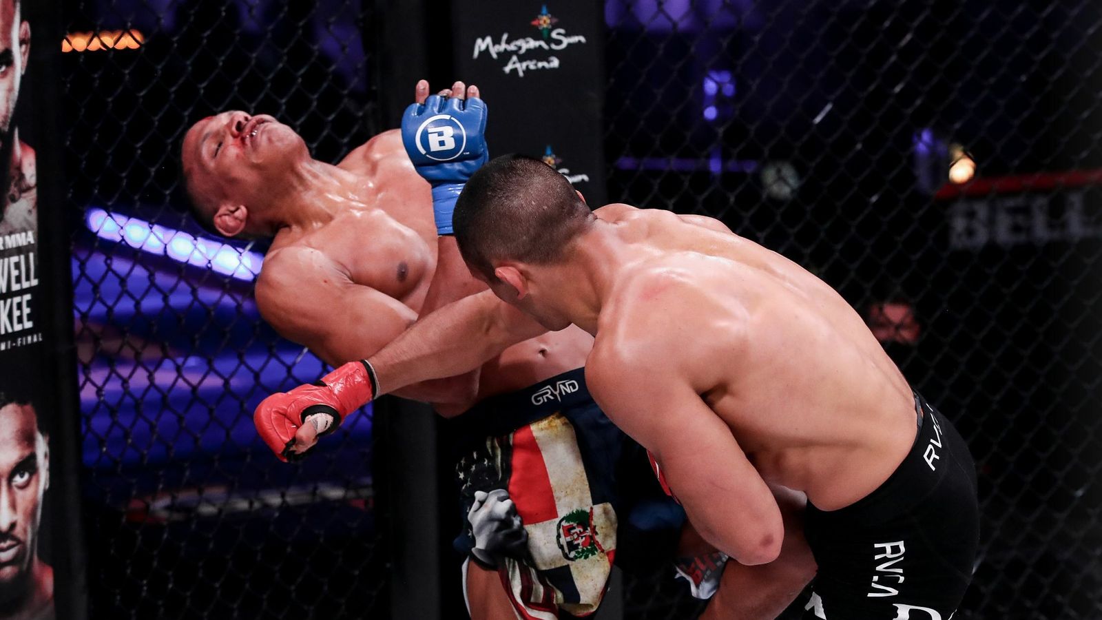 Bellator 252: Patricio 'Pitbull' Freire knocks out Pedro Carvalho | WWE ...