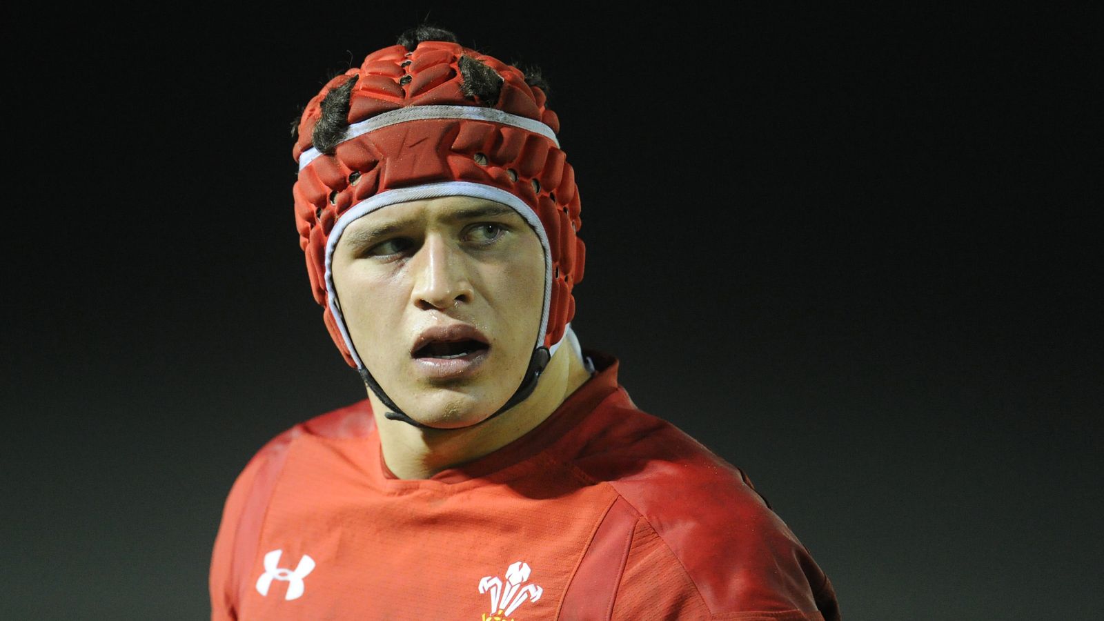 James Botham: Sir Ian Botham's grandson excited to live Wales dream ...