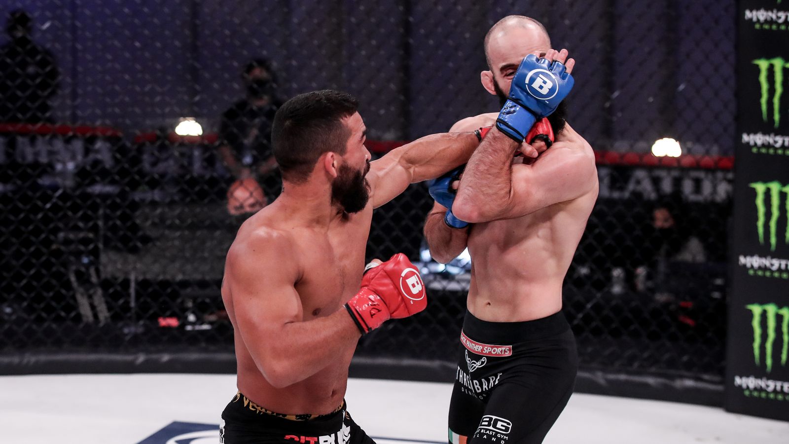Bellator 252: Patricio 'Pitbull' Freire knocks out Pedro Carvalho | WWE ...