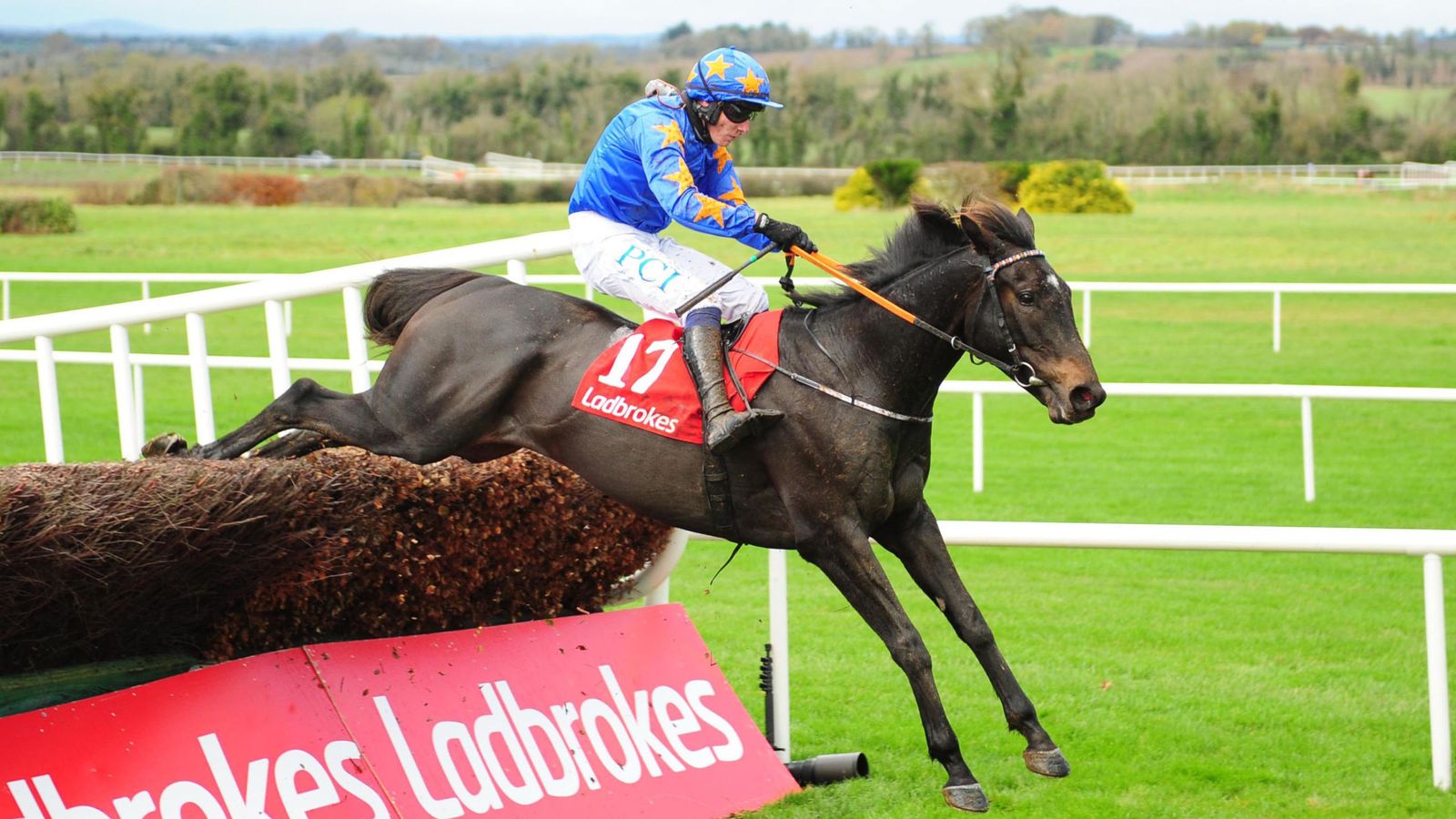 The Jam Man heading to Dublin Racing Festival | Racing News | Sky Sports