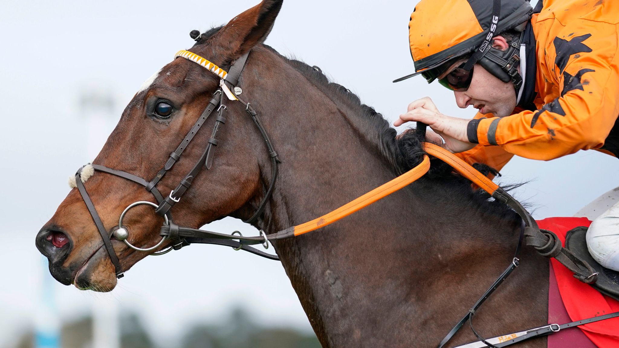Put The Kettle on wins the Shloer Chase | Racing News | Sky Sports
