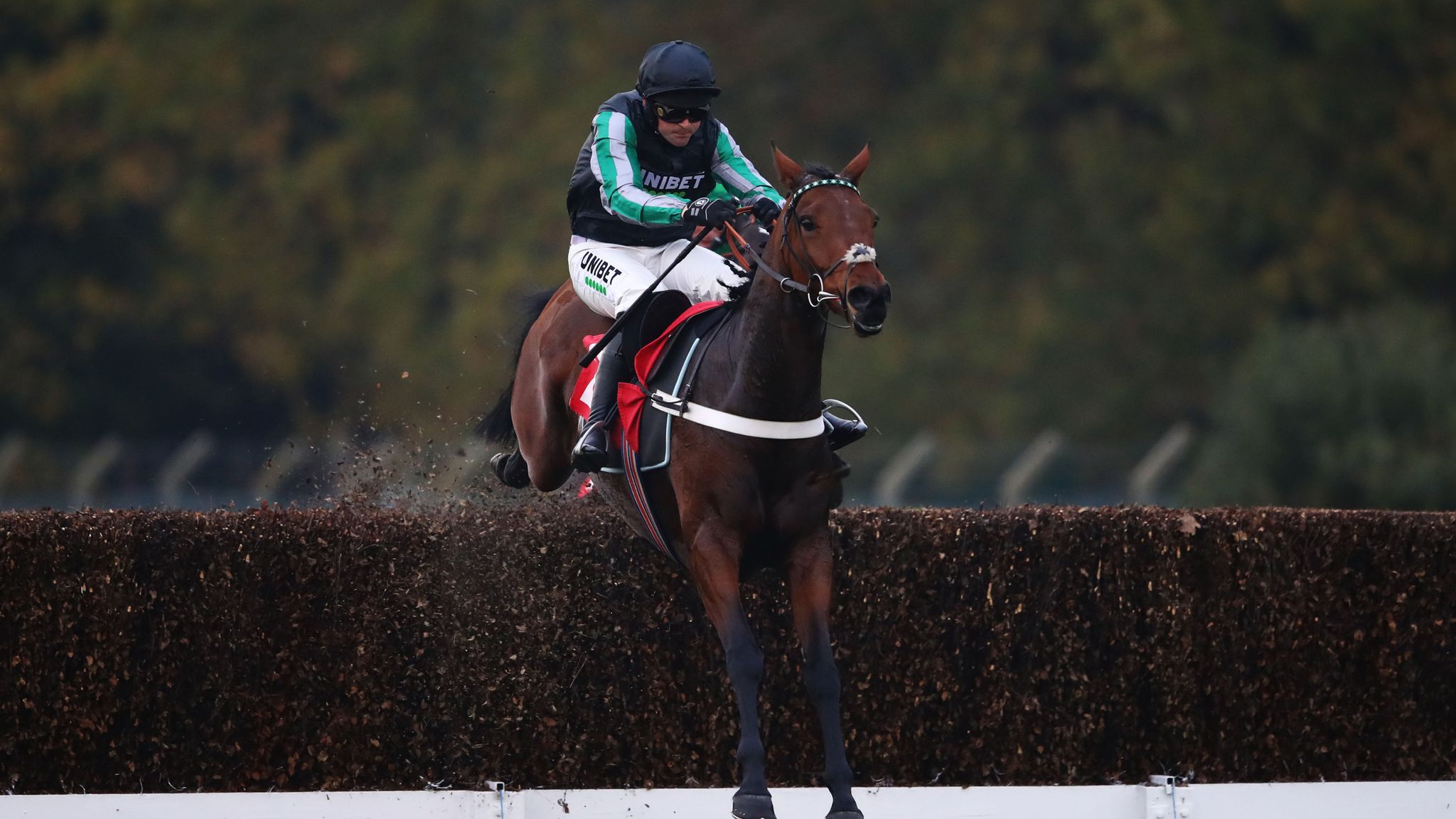 Pym makes all to win at Sandown | Racing News | Sky Sports