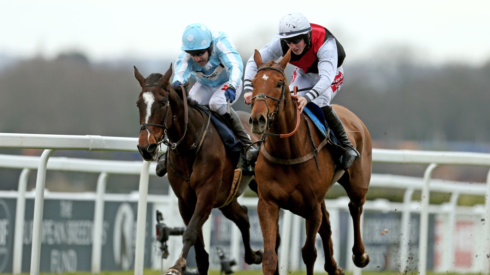 Queenohearts ready to return reports Stuart Edmunds | Racing News | Sky ...