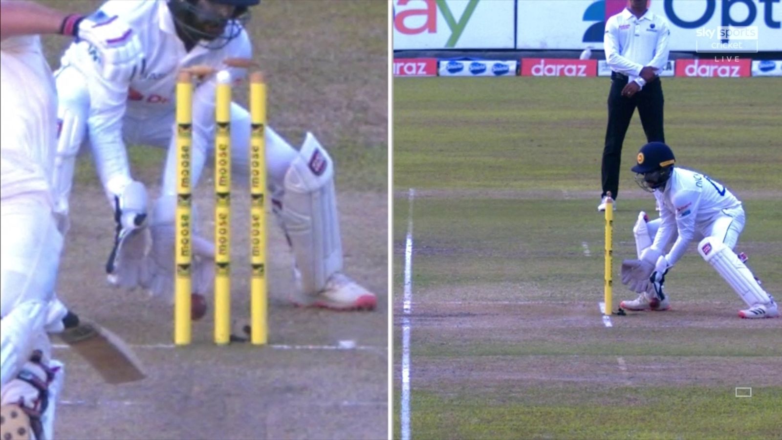 Root run out for 186 after epic innings | Cricket News | Sky Sports