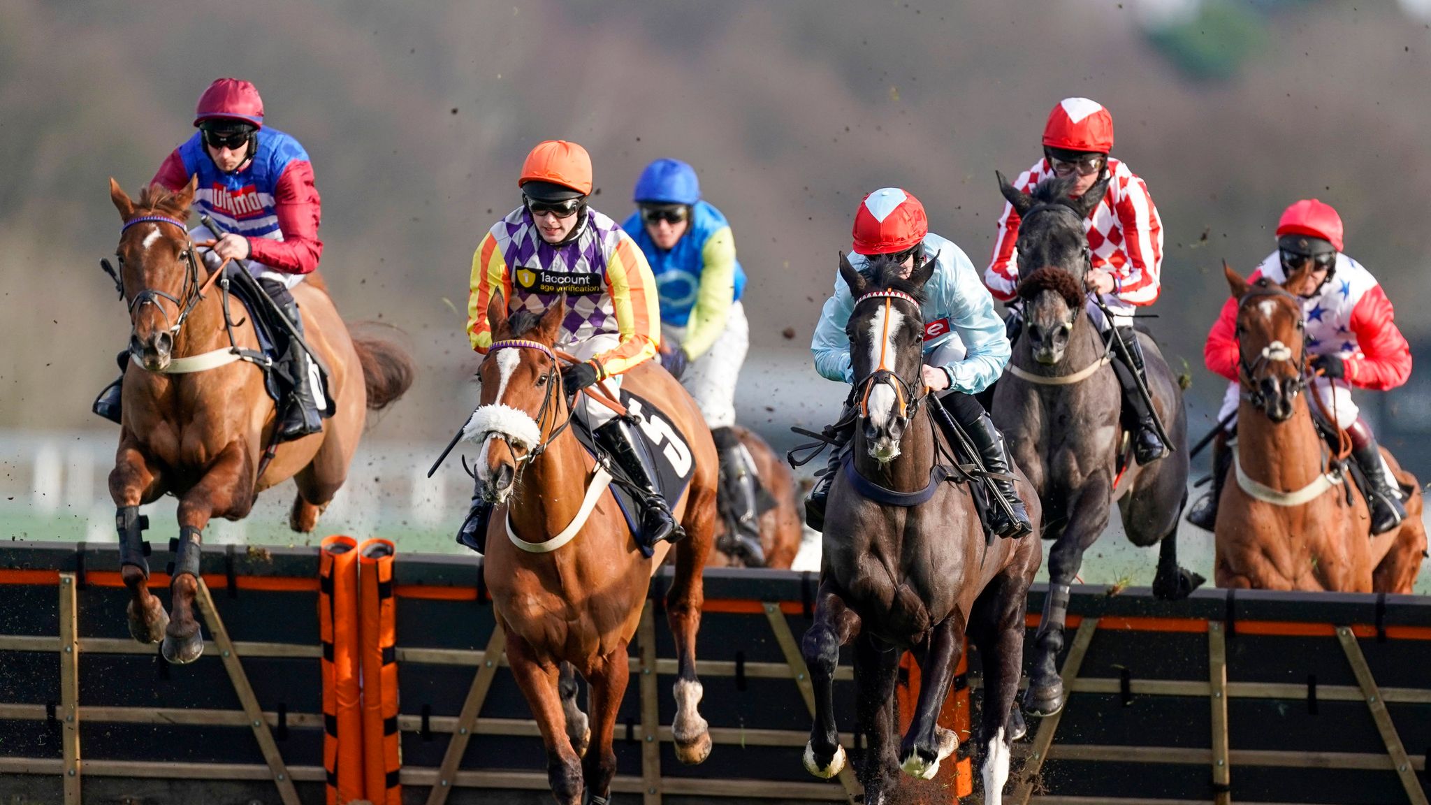 Tritonic makes winning start over hurdles | Racing News | Sky Sports