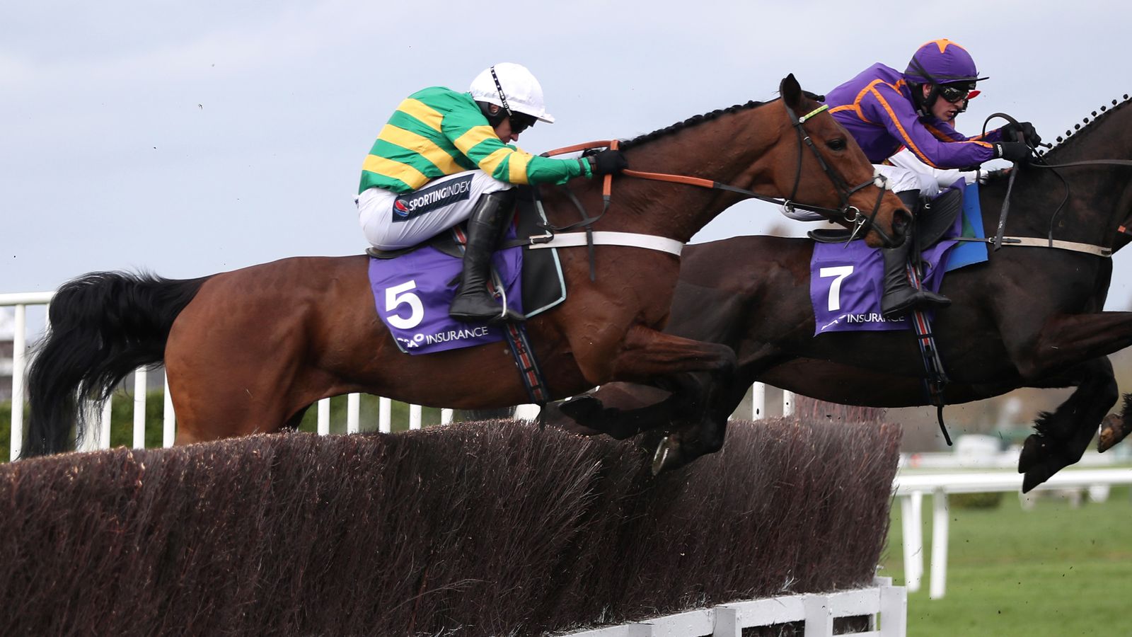 Champ on course for Denman Chase return | Racing News | Sky Sports