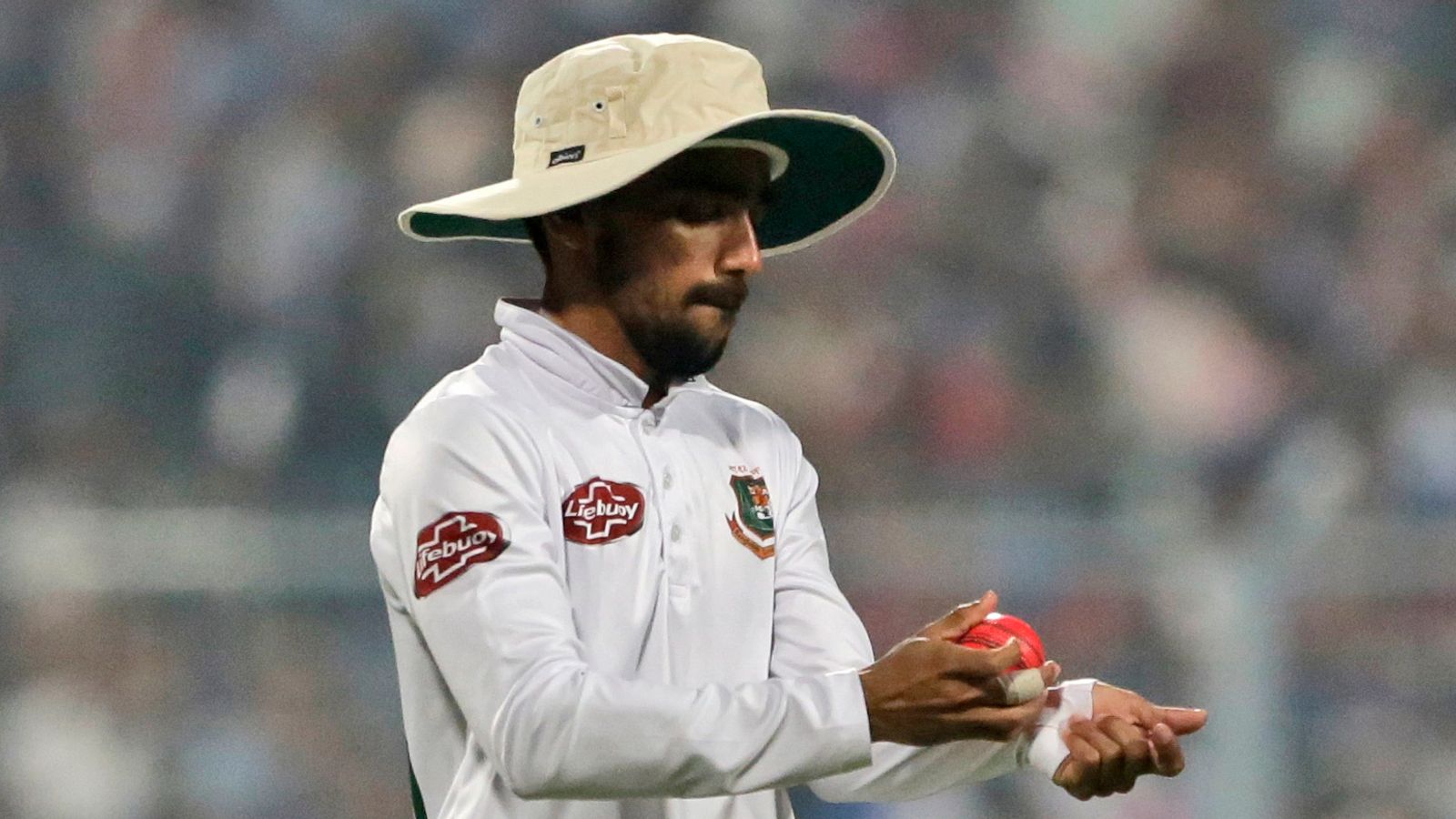 Bangladesh captain Mominul Haque, coach Russell Domingo criticised ...