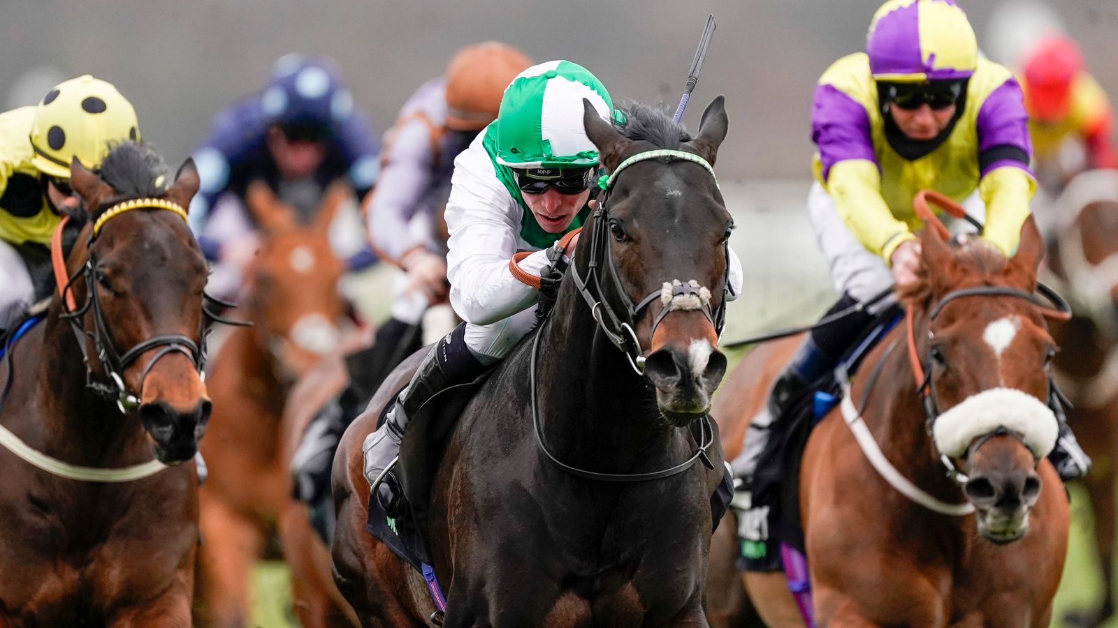 Royal Commando takes charge of Cammidge Trophy | Racing News | Sky Sports