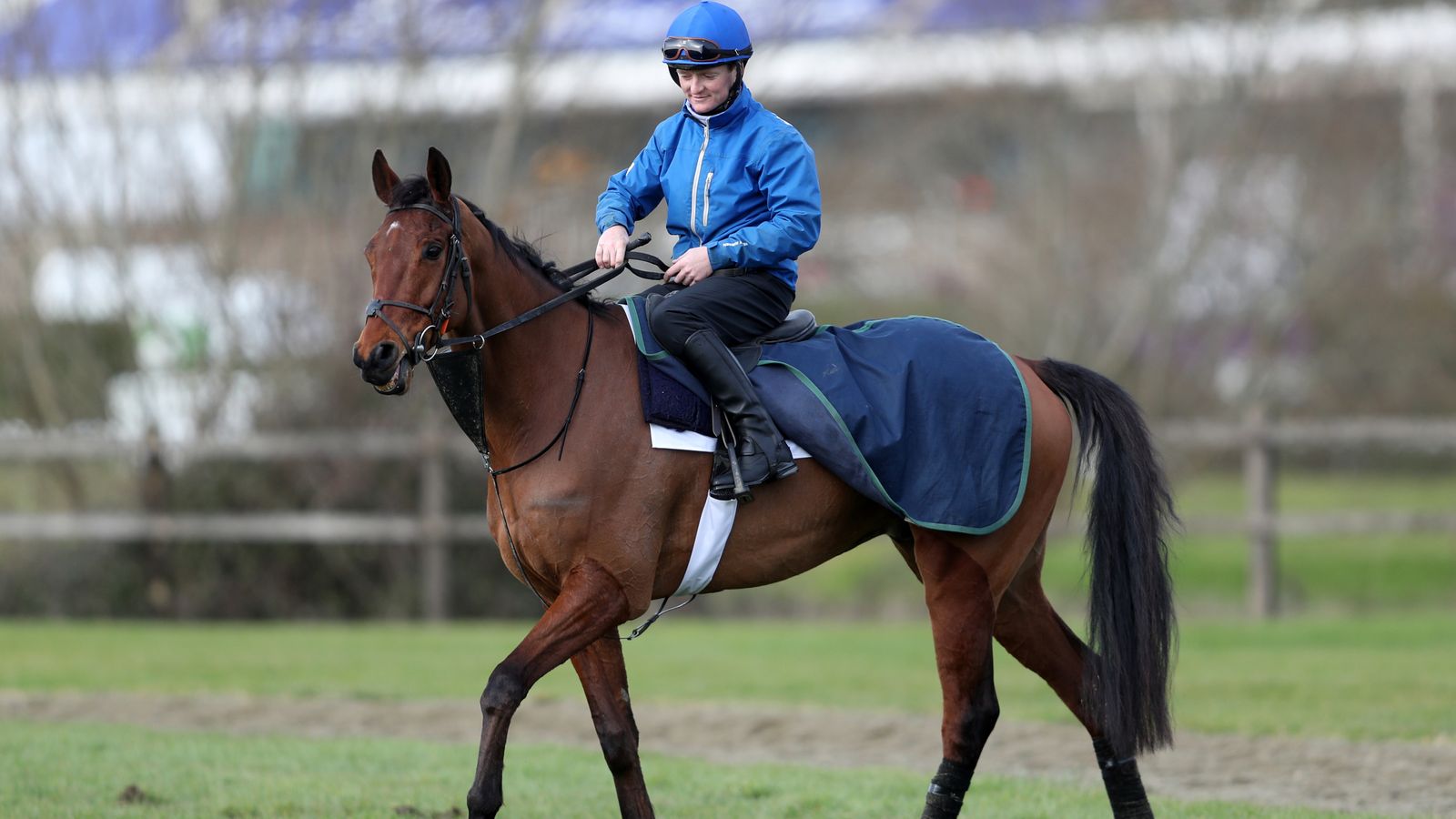 Ballymore's top class trio | Racing News | Sky Sports